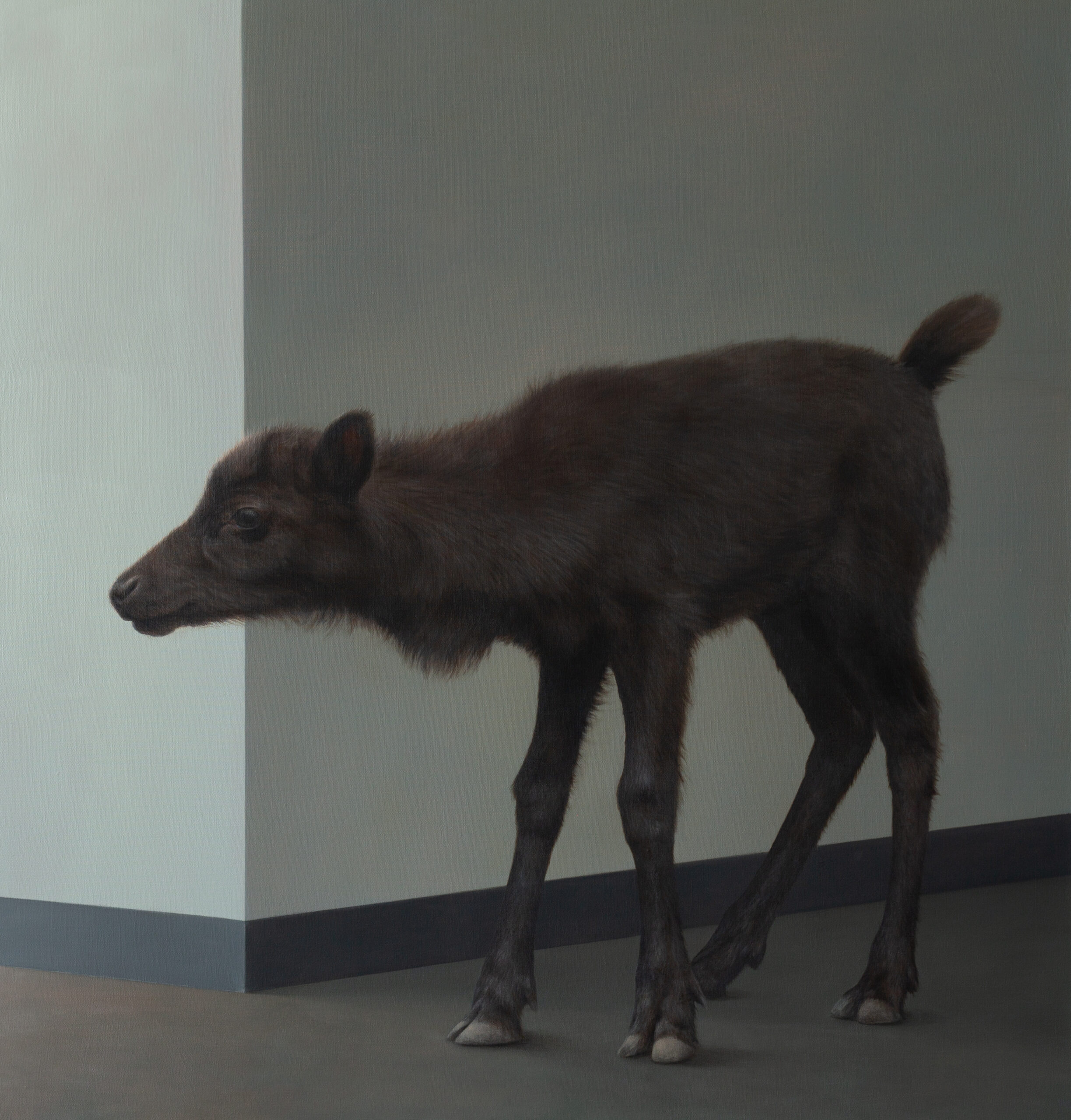 Rentierkalb - Bart Koning